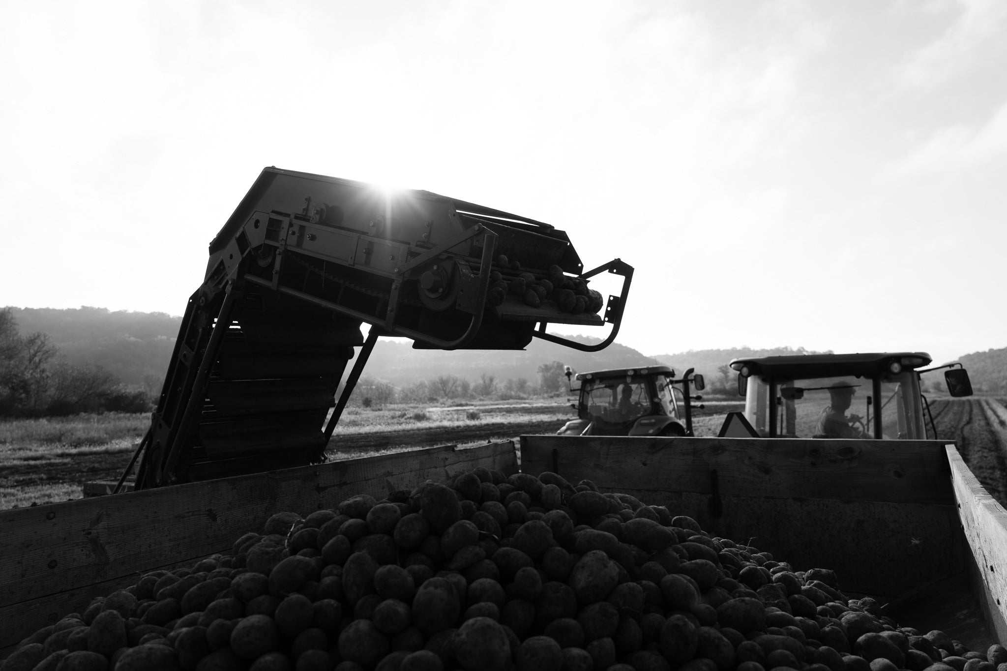 Mythic Farm: Organic Certified Seed Potatoes