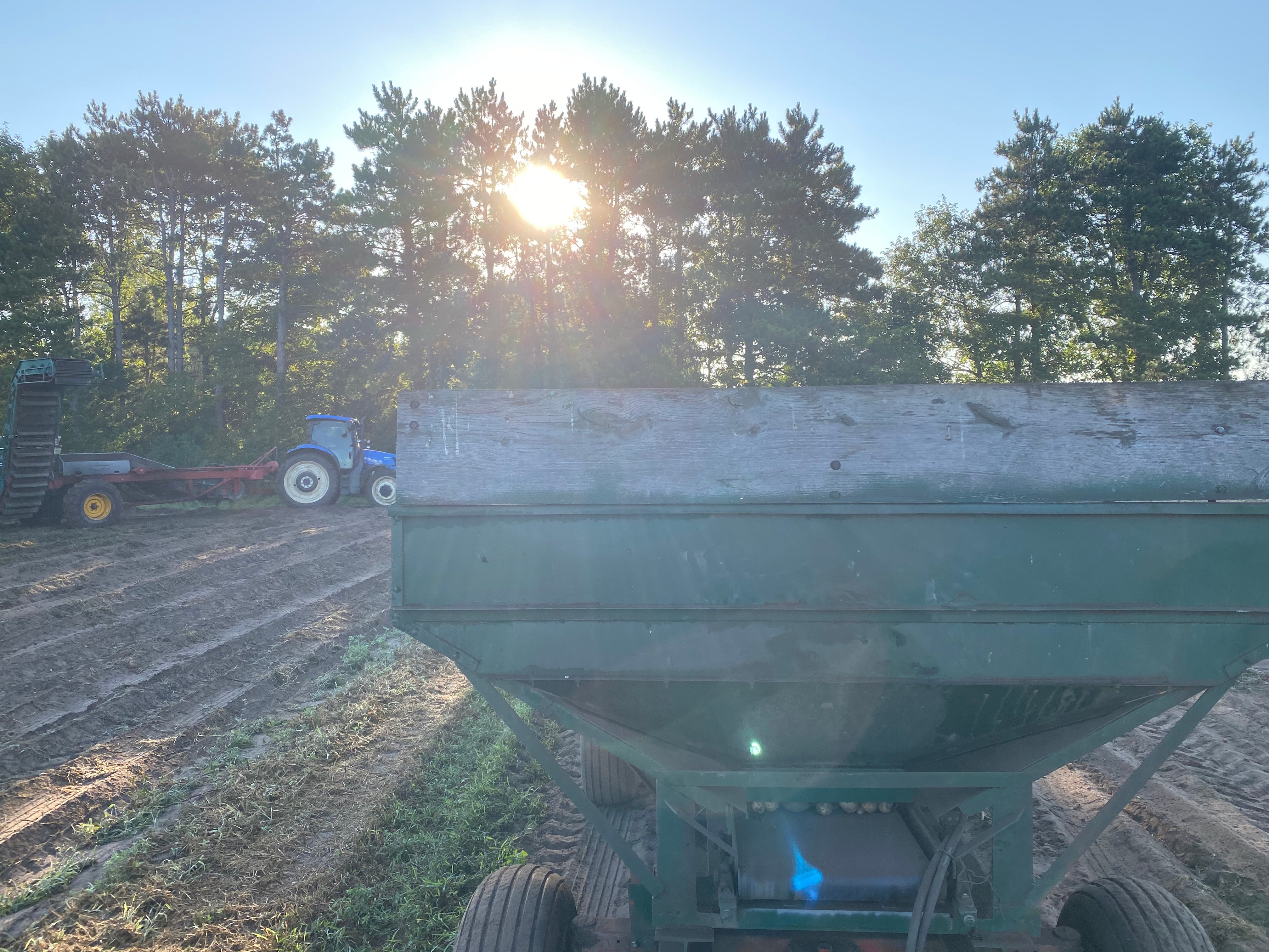 Mythic Farm: Organic Certified Seed Potatoes