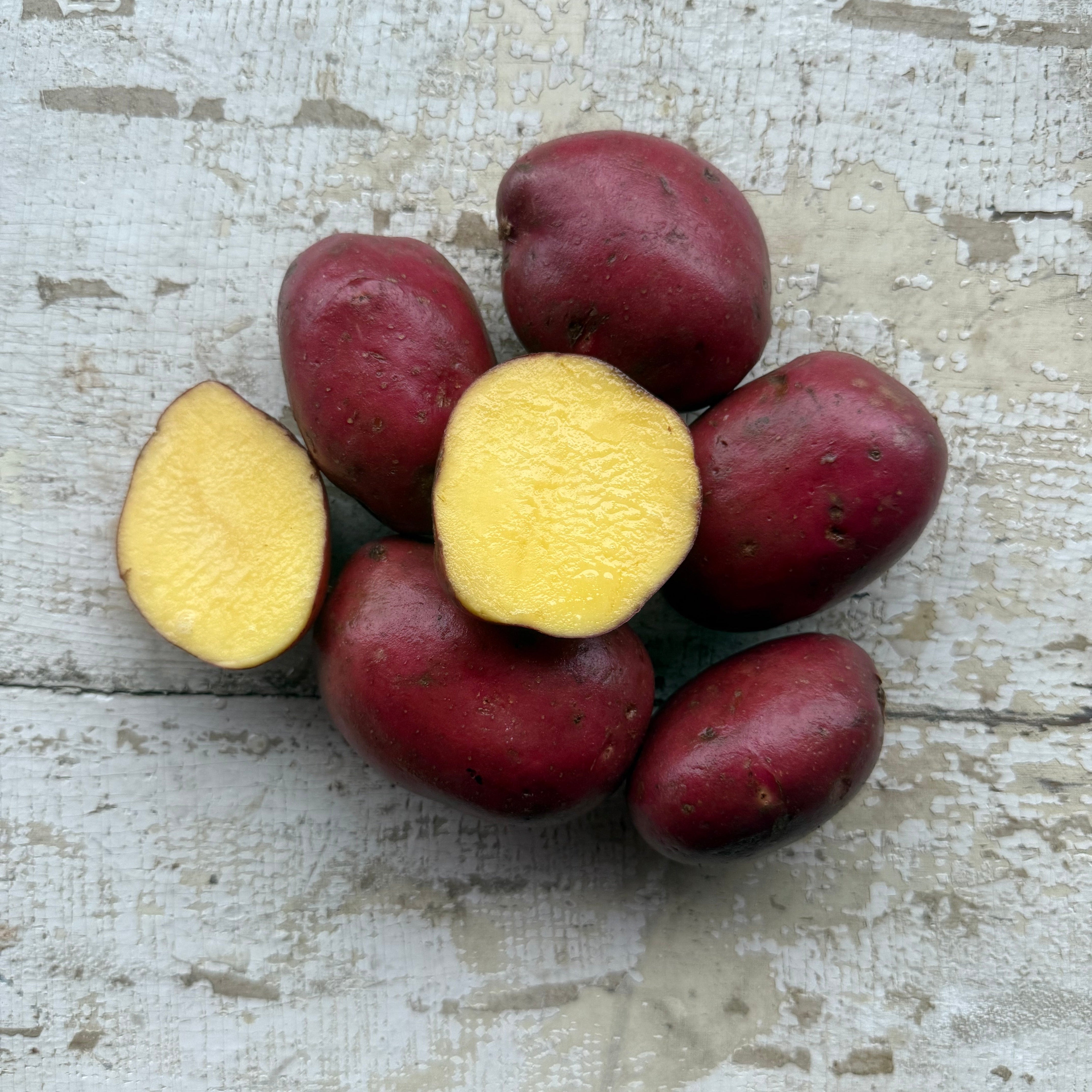 Mythic Farm: Organic Certified Seed Potatoes